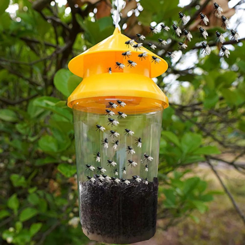 Reusable Plastic Walgreens Fruit Fly Trap For Home Garden, Patio, Or ...