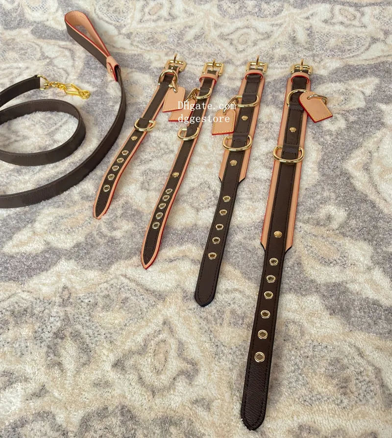 Designer Dog Collars And Leash Set Custom Dog Luxury... From Dggestore ...