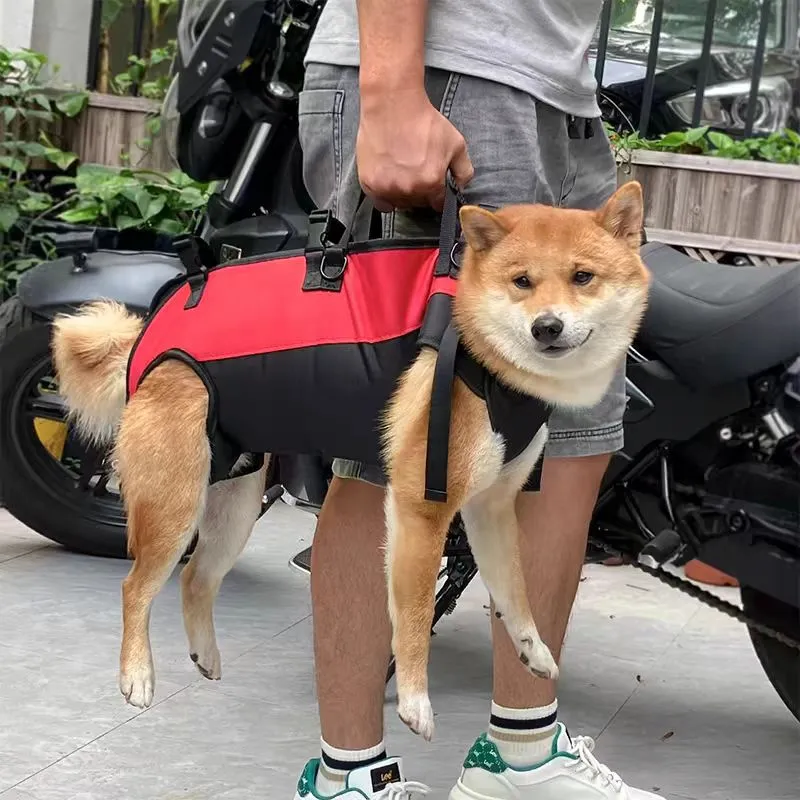 Hands-Free Dog Front Carrier Backpack: Adjustable & Comfy for Small to ...