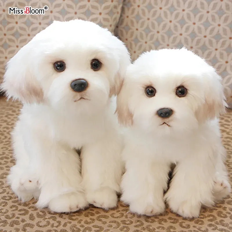 Malzis Maltese Stuffed Dog Dolls Plush Toys Fluffy Simulation Puppy For ...