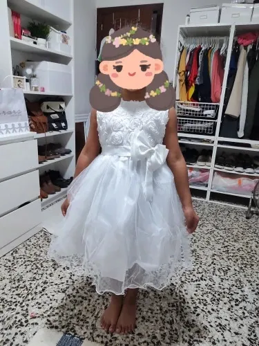 Flower Girl Wedding Dress Princess Fluffy Ball Gown Baby Girl Formal ...