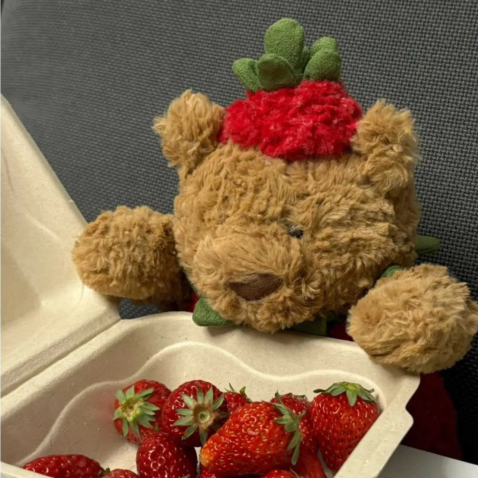 Plush Toy Teddy Bear Cute Jelly Cartoon Doll PP Cotton Filled Gift Toy ...