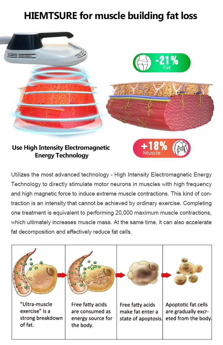 10D Emerald Laser Slimming Machine with HIEMT Electromagnetic ...
