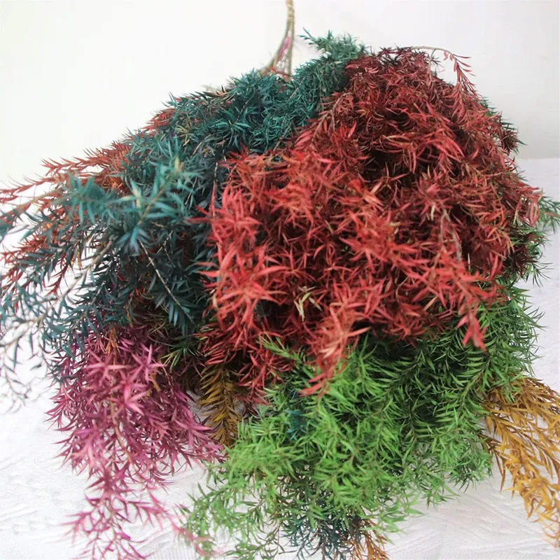 Preserved Melaleuca Bracteata Greenery Plants 90g Eternal Thousand ...