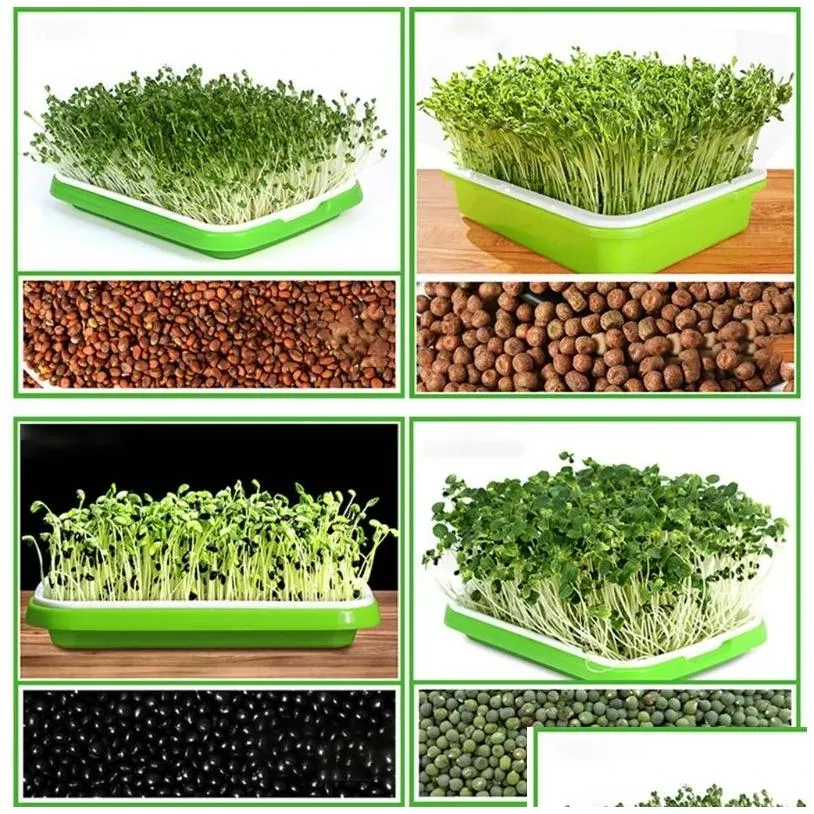 Storage Boxes & Bins New 2024 Seed Sprouter Tray Bpa Pp Soil Large ...