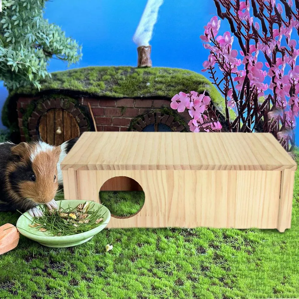 Two-Chamber Hamster Hideout - Rectangle Maze House for Small Pets ...