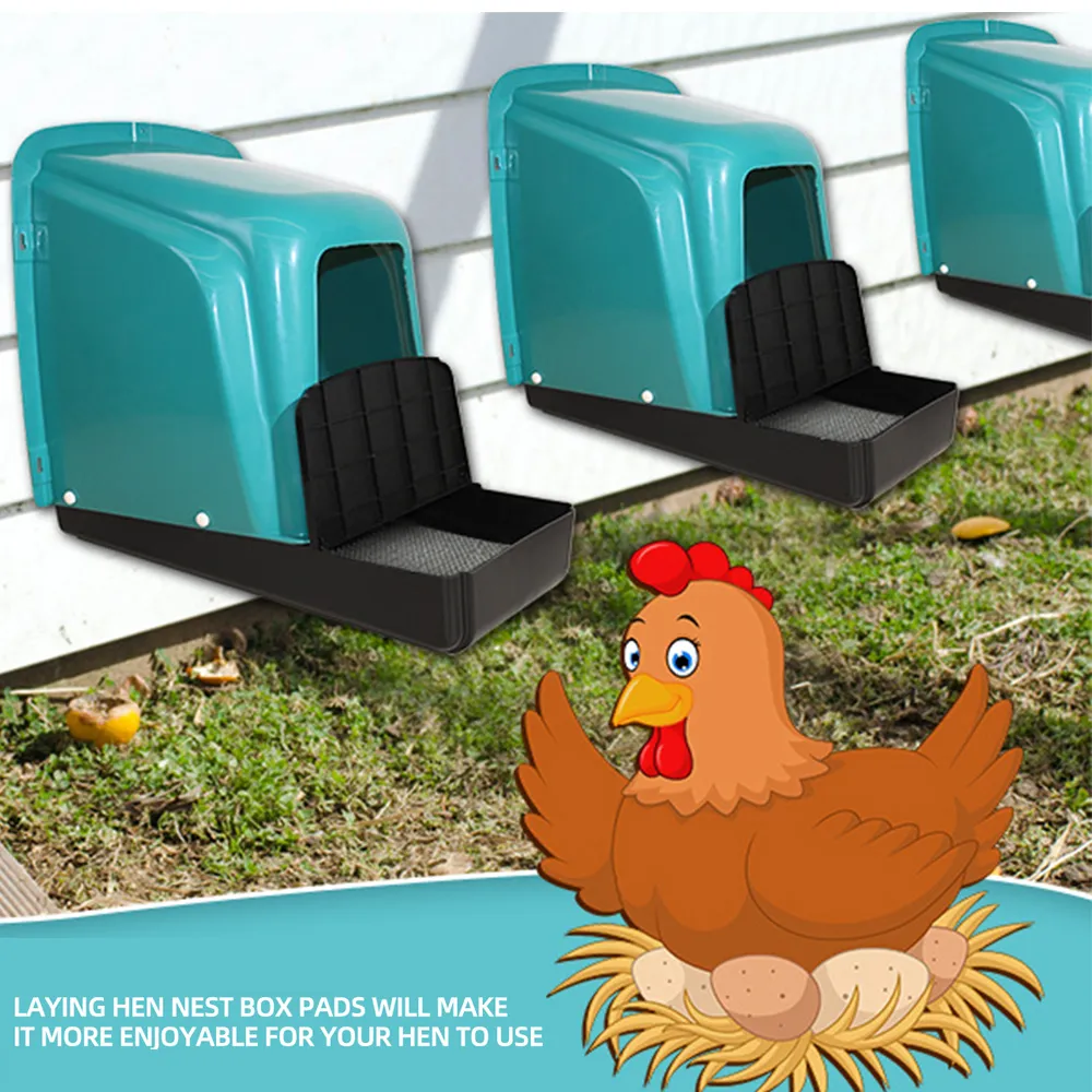 Wholesale Six Compartment Chicken Nesting Box: Durable Laying Boxes For ...