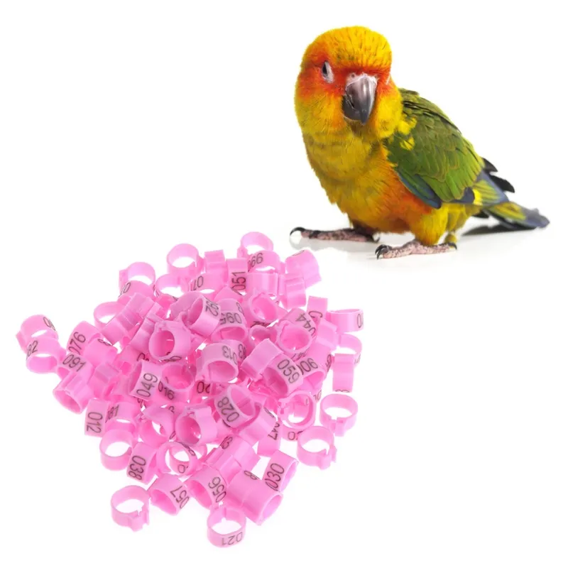 Chicken Bird Leg Rings Birds Identification Leg Bands Poultry Clip On ...