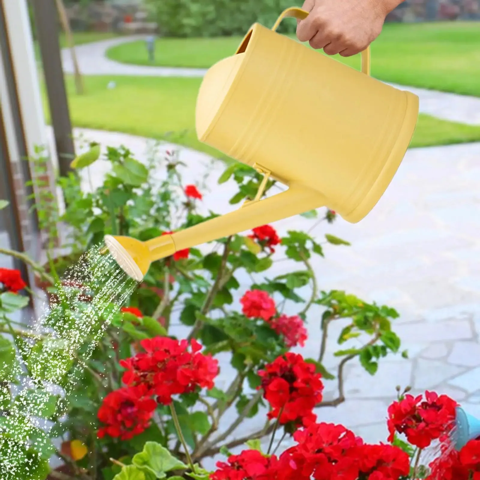 Watering Can with Long Spout and Detachable Spray Head, 2L, for Flowers ...