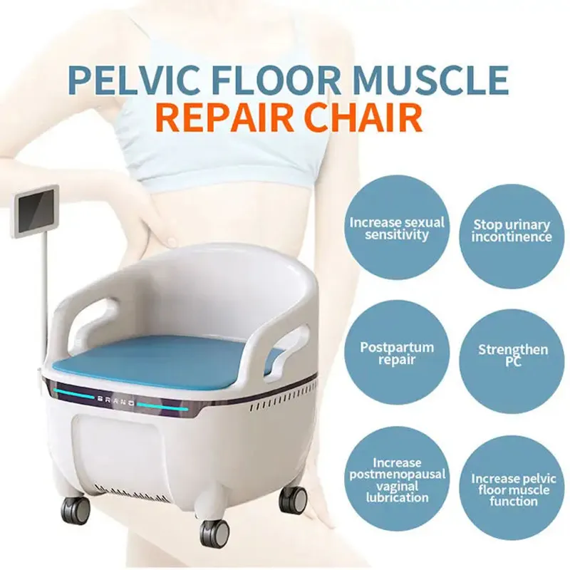 Pelvic Floor Muscle Postpartum Muscle Training Prostate Treatment ...