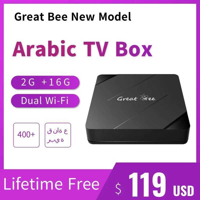 Box TV Big Bee Arab 4K Media Player: 2GB+16GB, Dual Wi Fi Smart TV Box ...