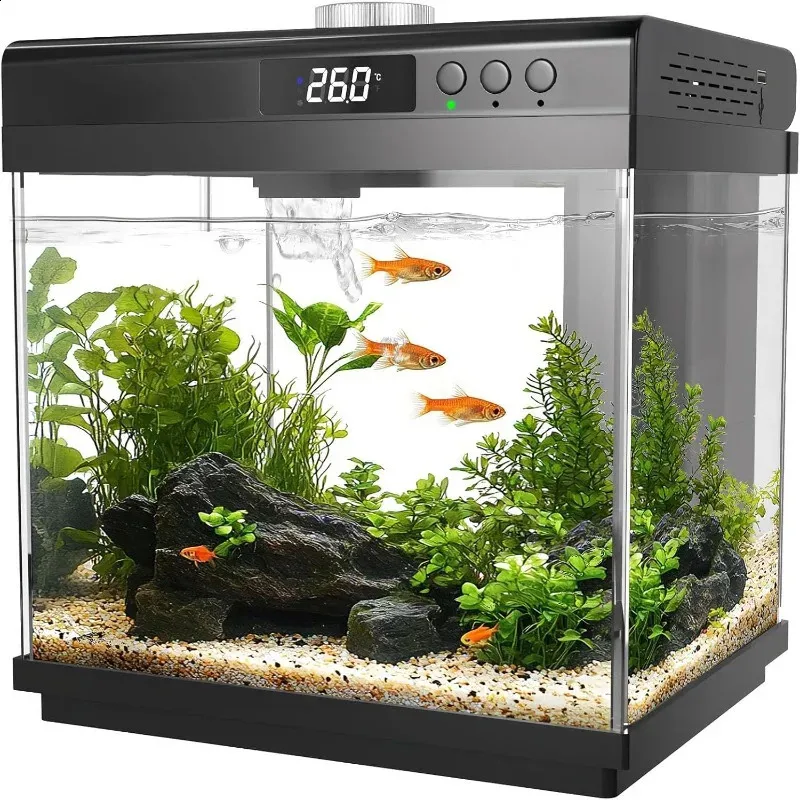 7 Gallon Aquarium Starter Kit Small Glass Fish Tank With Filter And ...