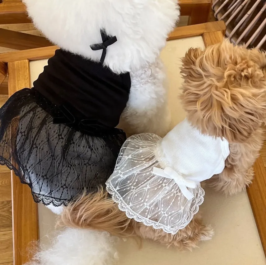Dog Cute Dress Puppy Princess Dresses Strawberry... From Cute_petstore ...