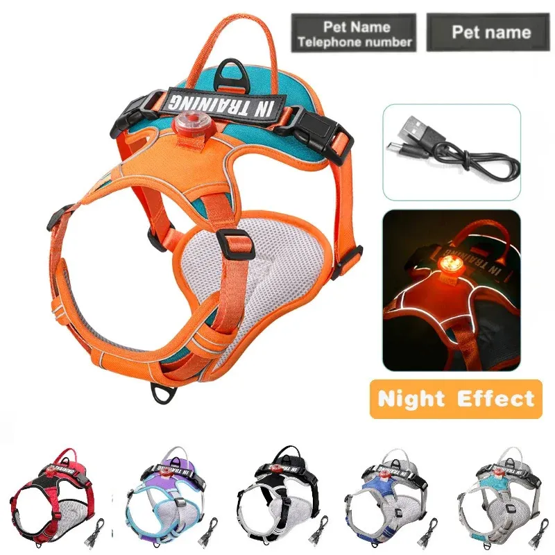 Personalized USB Rechargeable Led Dog Harness Rechargeable With ...