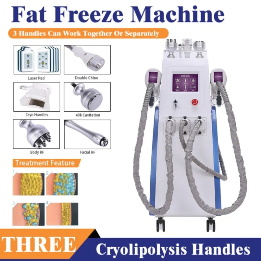 Cryolipolysis Fat Loss Device with Color Touch Screen for Whole Body ...