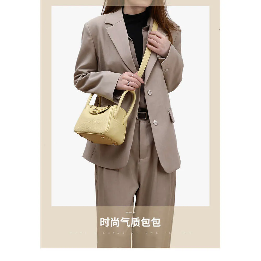 Mini Lindi Handheld Pillow Crossbody Bag with Zipper and Hasp Closure ...