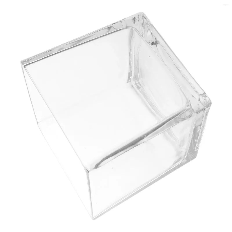 Square Thickened Glass Vase Clear Cube Hydroponic Planter 5.9x5.9 in ...