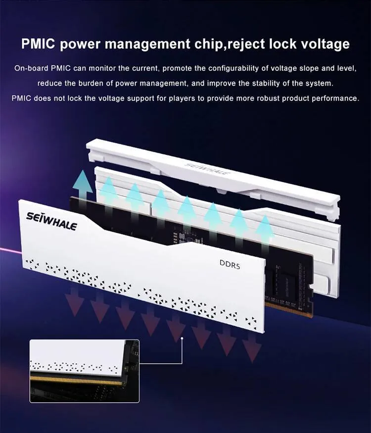 SEIWHALE DDR5 16GB 2400MHz Desktop DIMM Memory Module from Dhgate RAMs ...