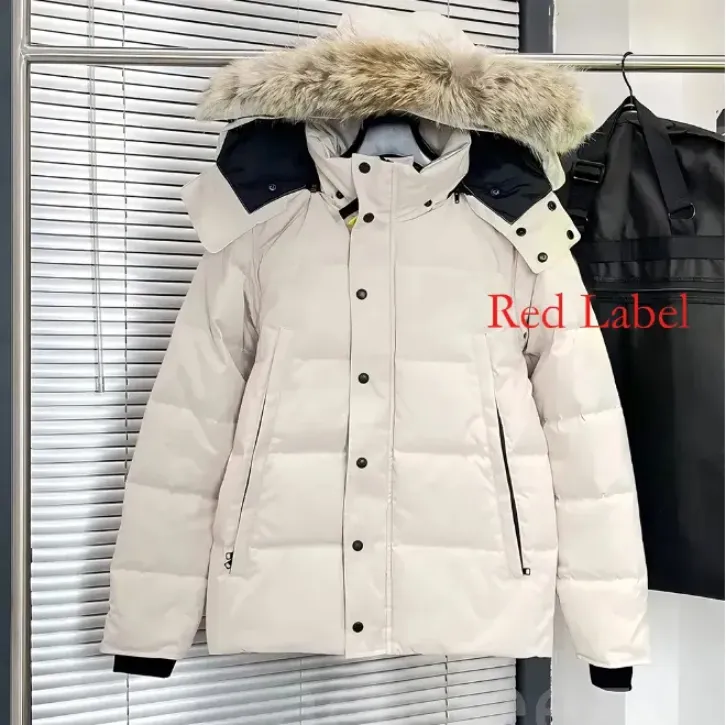 Men's Winter Parka Jacket Hooded Acetate Thickened Puffer Coat Zipper ...