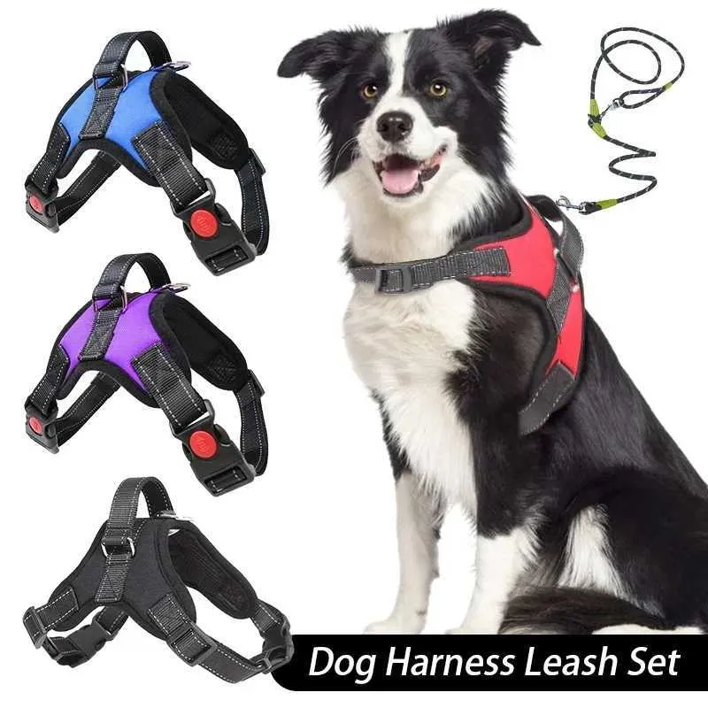 Dog Harness and Leash Set Vest Harness Adjustable with Easy Control ...