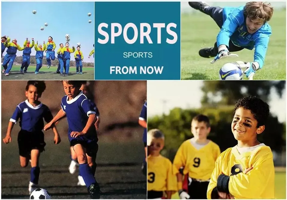 Germany Soccer Jersey 24/25 25/26 Tracksuit with Full Sleeves Cotton ...