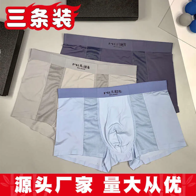 Men's Seamless Ice Silk Mesh Breathable Water-Resistant Boxer Briefs ...