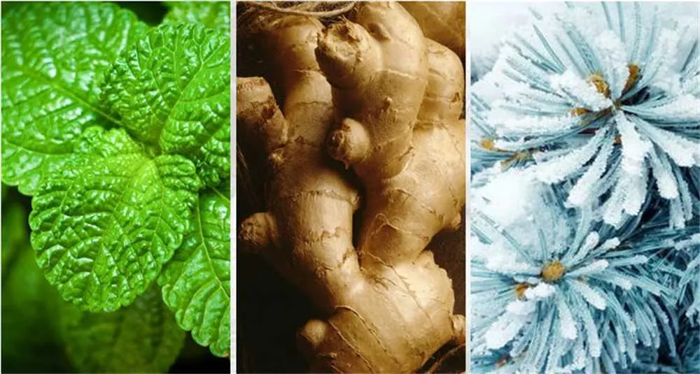 Blue de Chavnk Inspired Eau De Toilette 100ML Unisex Woody Aromatic ...