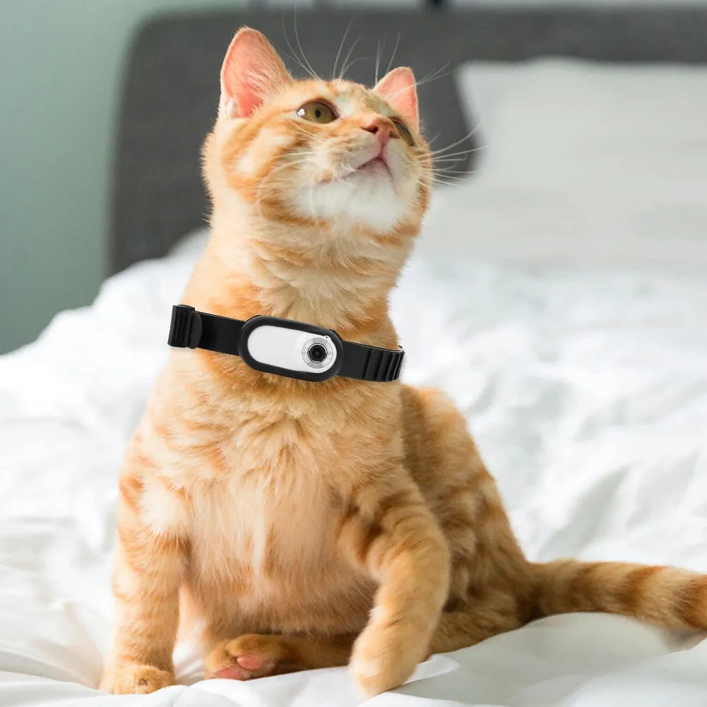 HD 1080P Wireless Pet Collar Camera with 2 MP Video Record and LCD ...