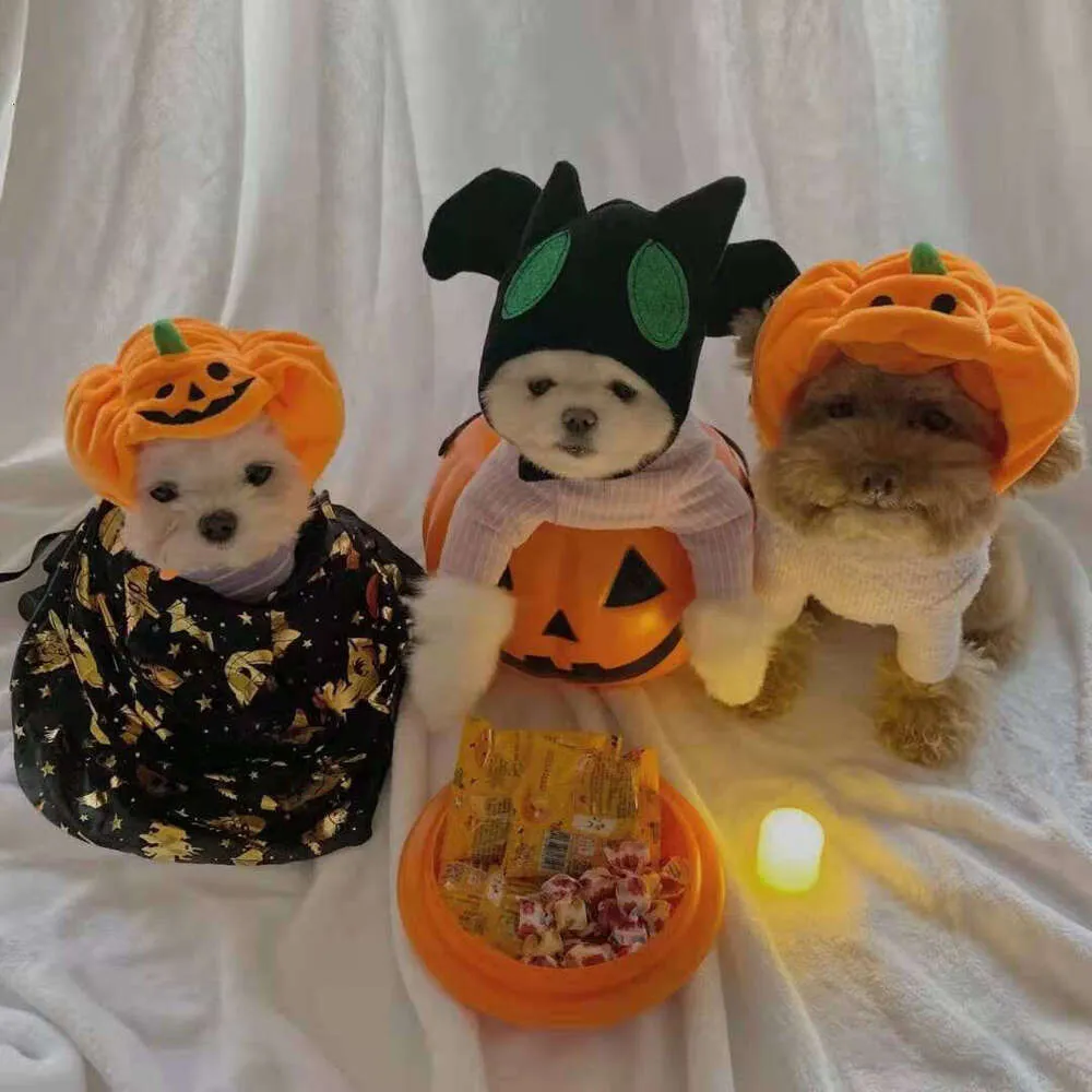 Pet Pumpkin Hat Halloween Headwear for Small to Large Dogs and Cats ...
