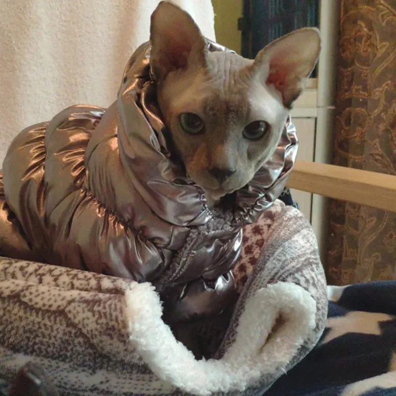 Warm Stephen Cat Jumper Suit 100% Cotton Autumn Winter Pet Clothes Cat ...