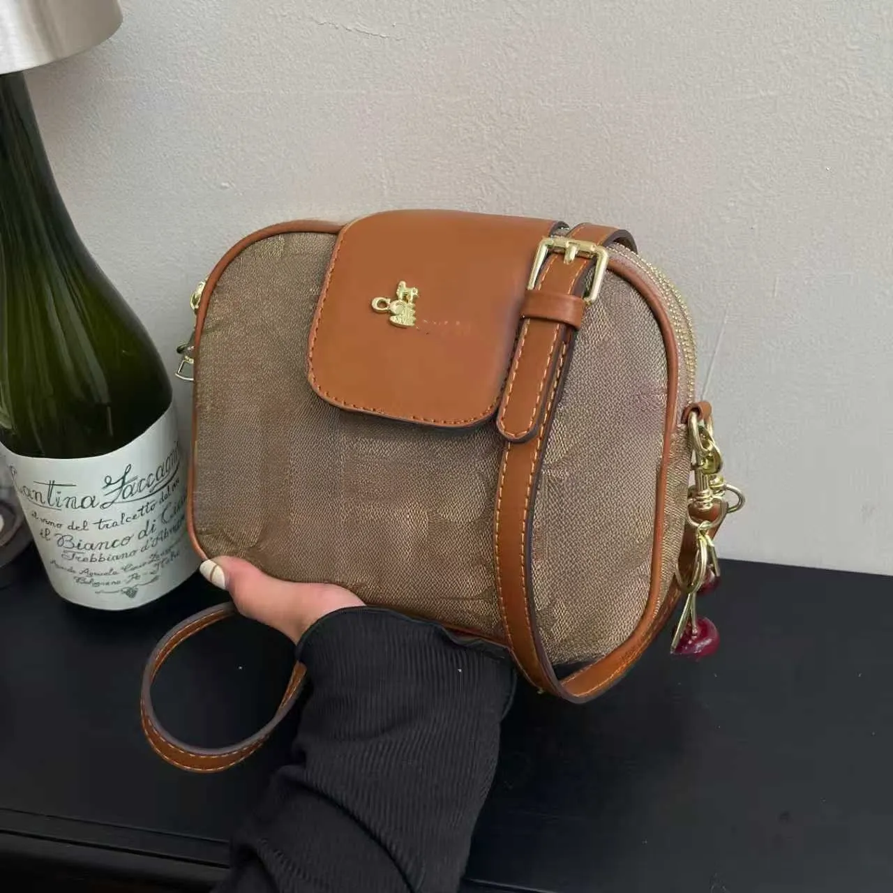 Small Camera Shaped Handbag for Women with PU Metallic Material and ...