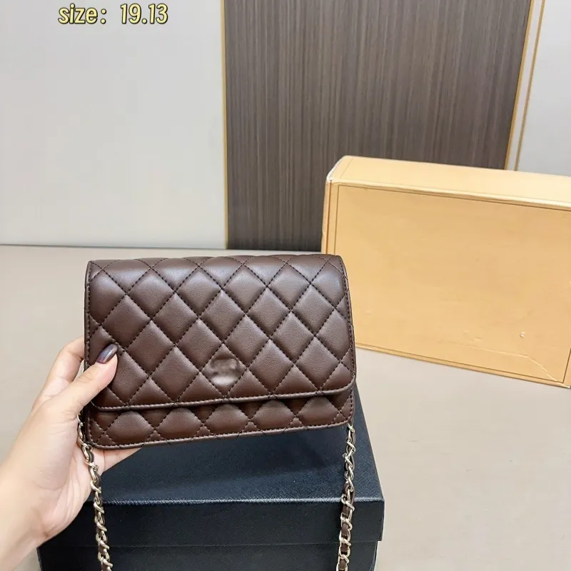 Luxury Designer Bag Multicolour Shoulder Bag Metal Chain Crossbody Bag ...