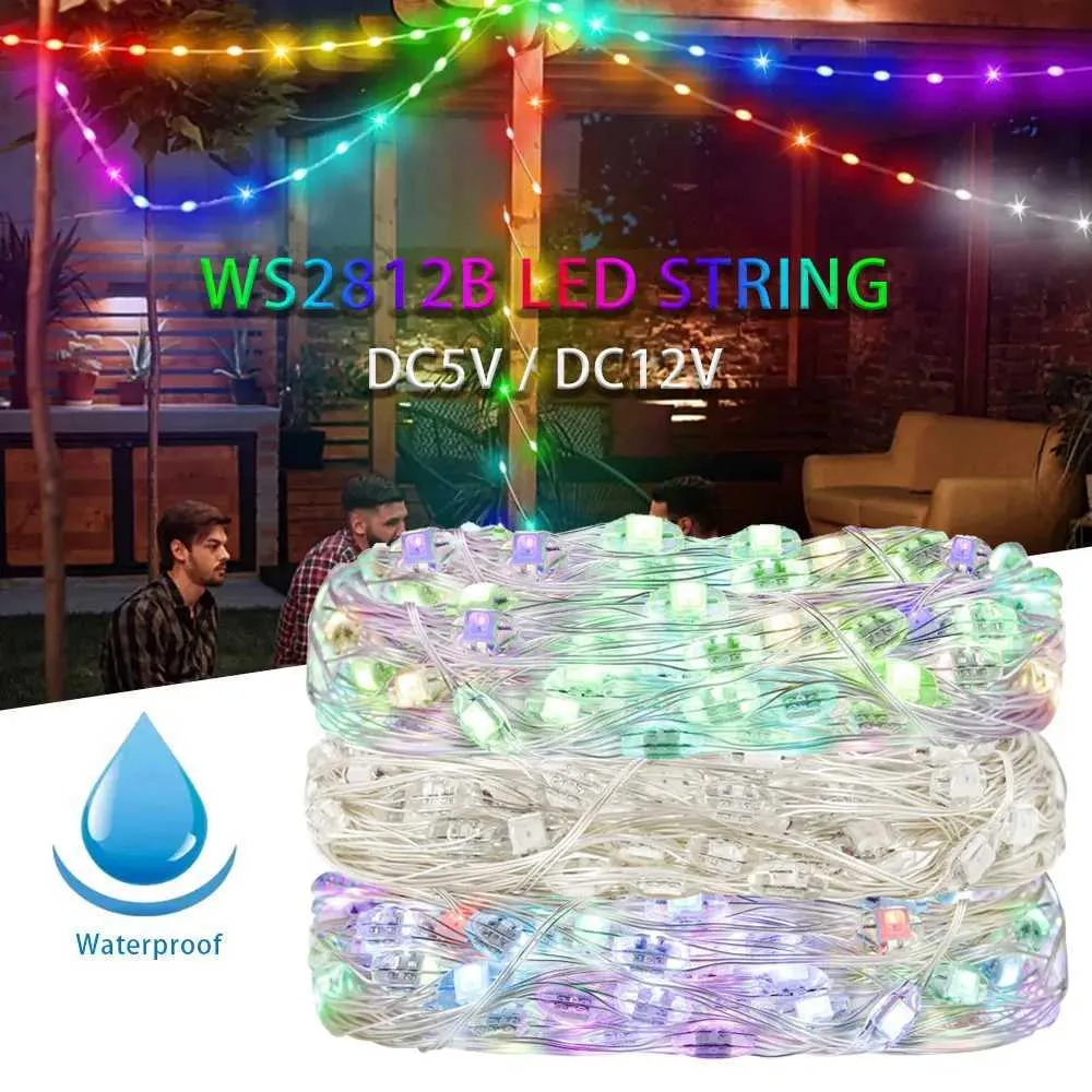 Addressable RGBIC LED Strip Lights Copper Wire String For Party ...