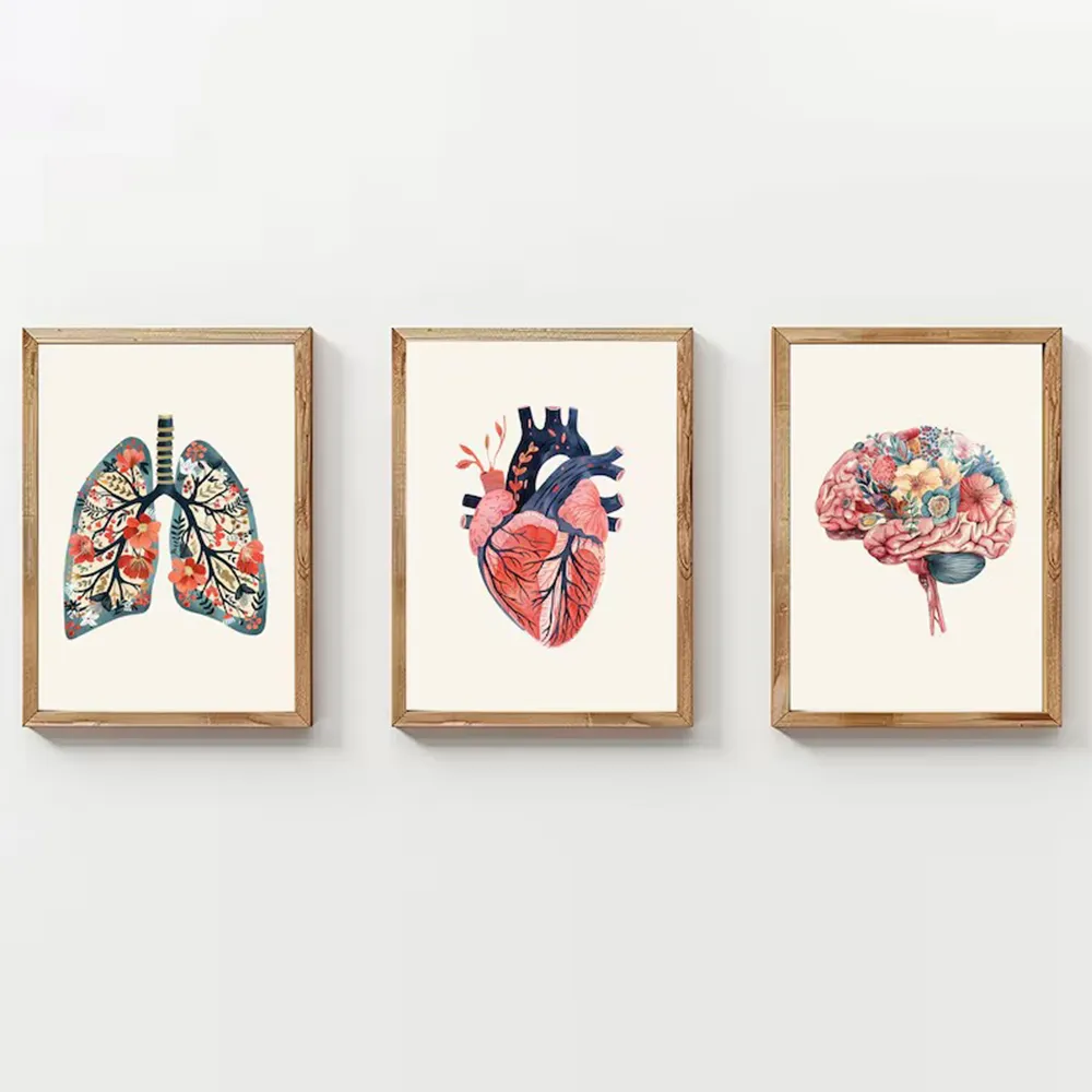 Human Anatomy Medical Education Poster Floral... From Dh912732018, $20. ...