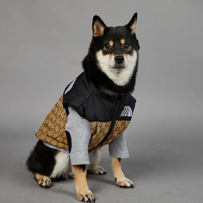 Stylish Designer Dog Jackets Big W For Autumn And... From Dggestore ...