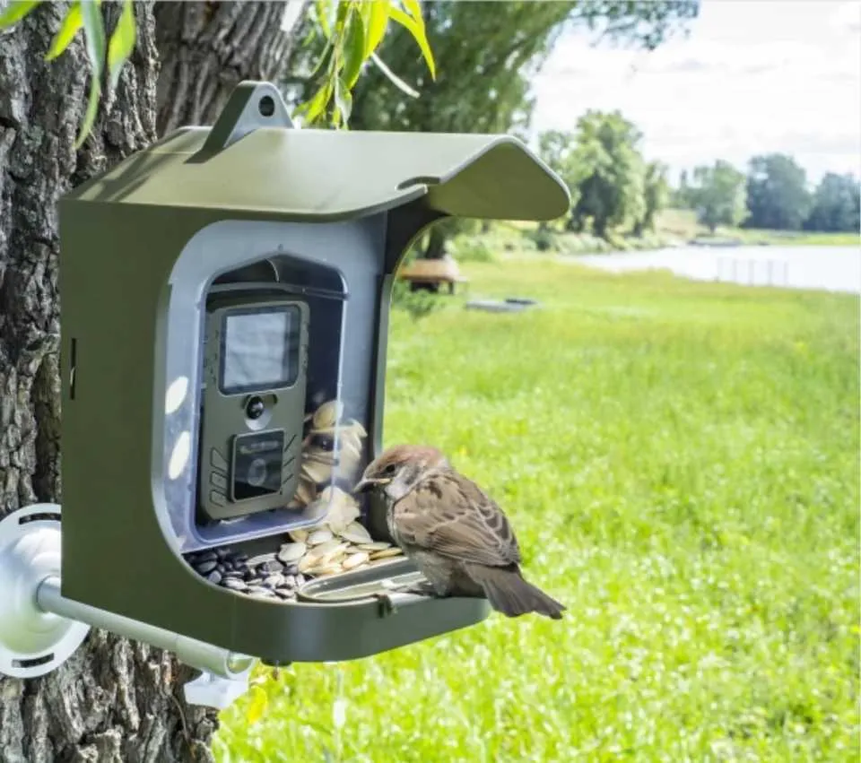 Infrared Night Vision Bird Small Animal Observation... From Beauty_of ...