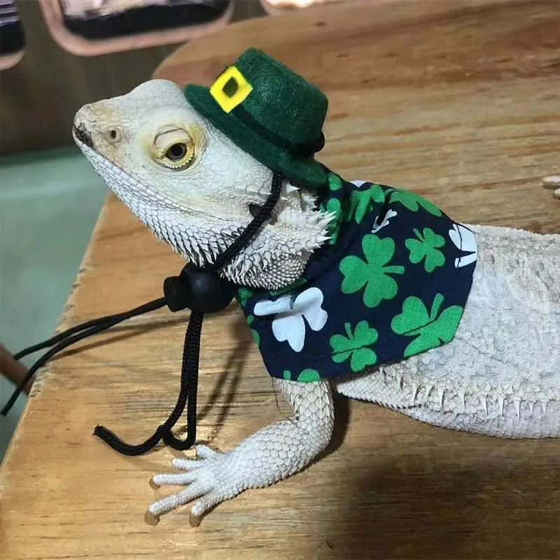 Adjustable Bearded Dragon Costume Lizard Hat with Cloak for Small ...