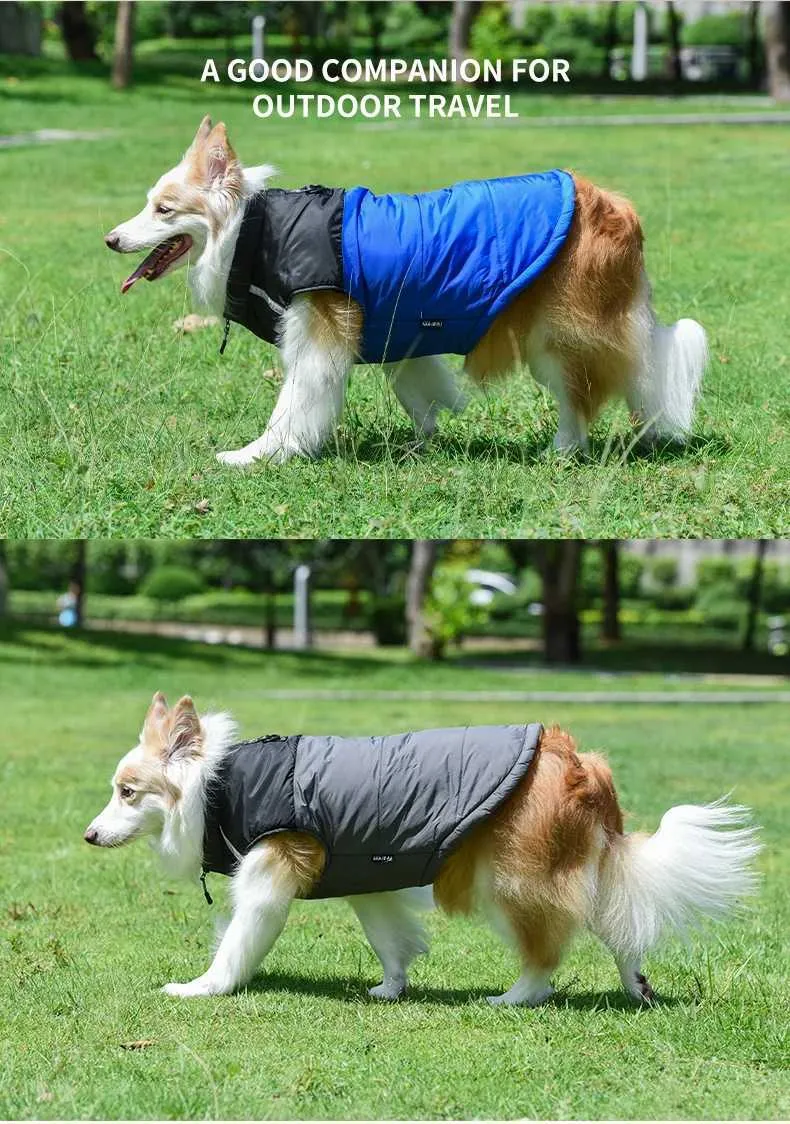 Windproof Dog Coat with Cotton Padding Zipper Closure for Medium Breeds ...