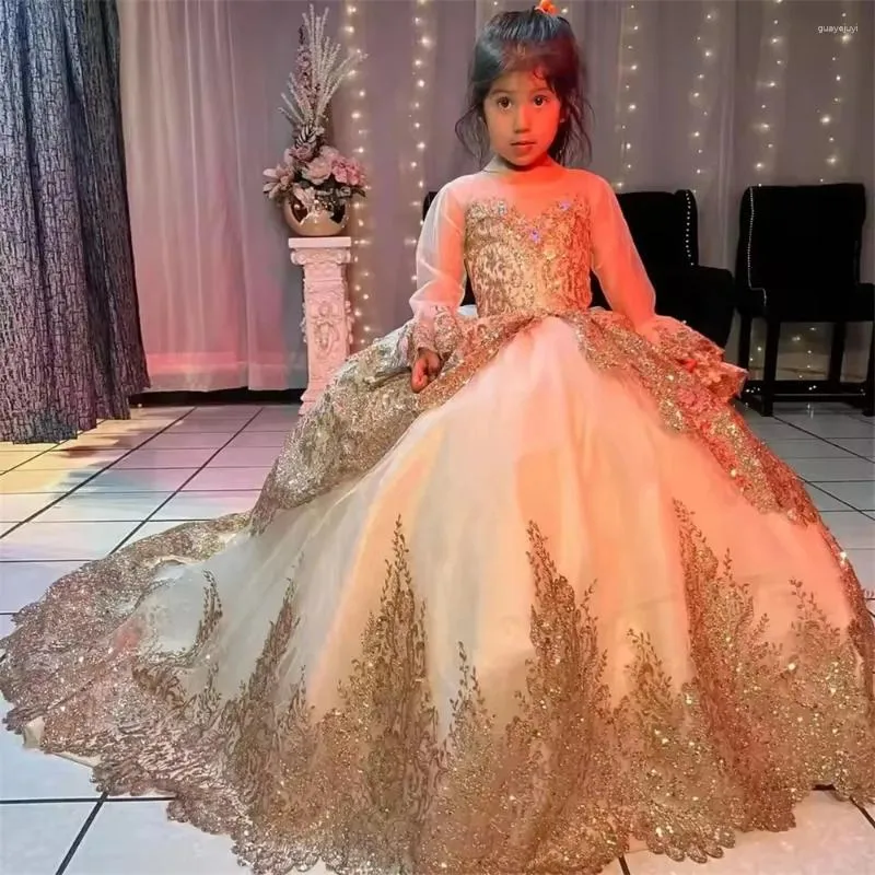 Flower Girl Communion Ball Gown Dress Floor-Length Full Sleeves Floral ...