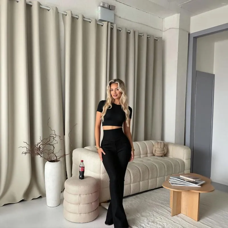 Women's Two-Piece Pants Set Summer Casual Solid Color Ankle-Length ...