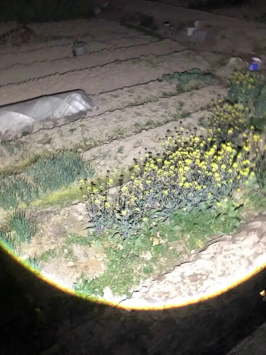 90000000LUX 900W 2LED Rechargeable LED Headlamp with Strobe Mode for ...