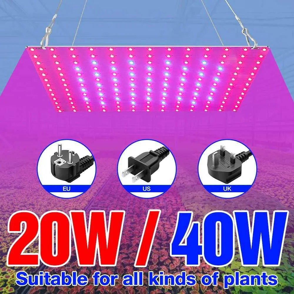 X250205 Growing LED Quantum Board Grow Lights Full... From Honey_fruit ...