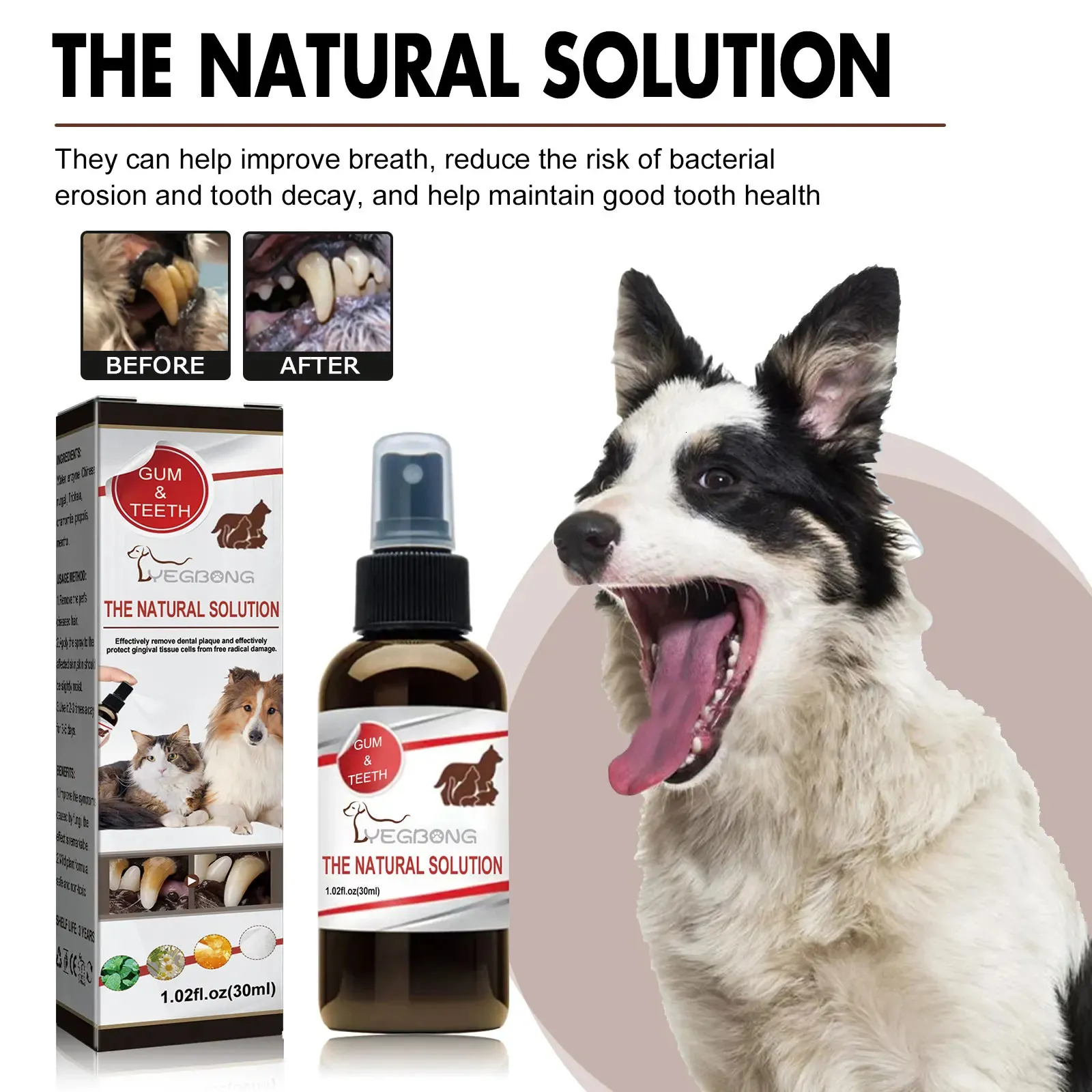 DHgate.com:Pet Oral Care Spray: Fresh Breath, Dental Cleaning for Dogs ...