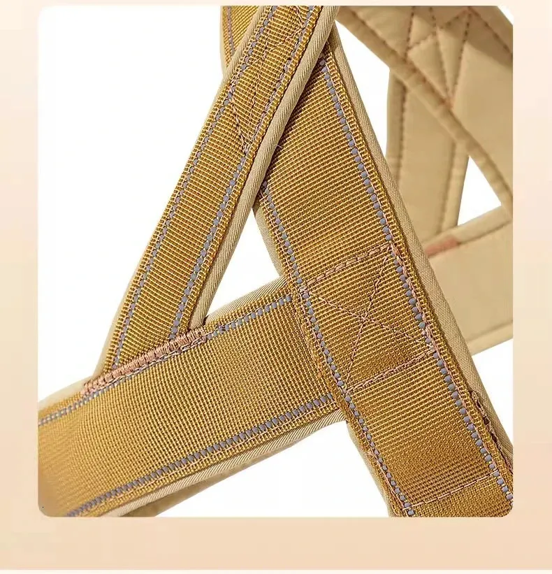 Durable Dog Harness No Pull Pet Harness with Handle Training Harness ...