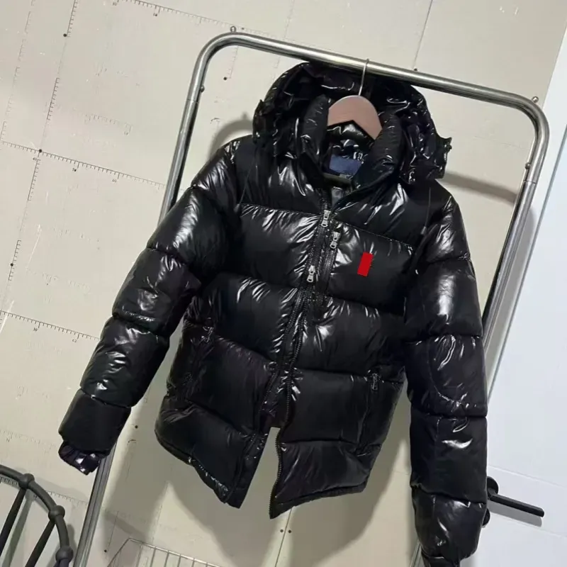 Mens Winter Puffer Down Jackets with Hooded Embroidered Design, Zipper ...