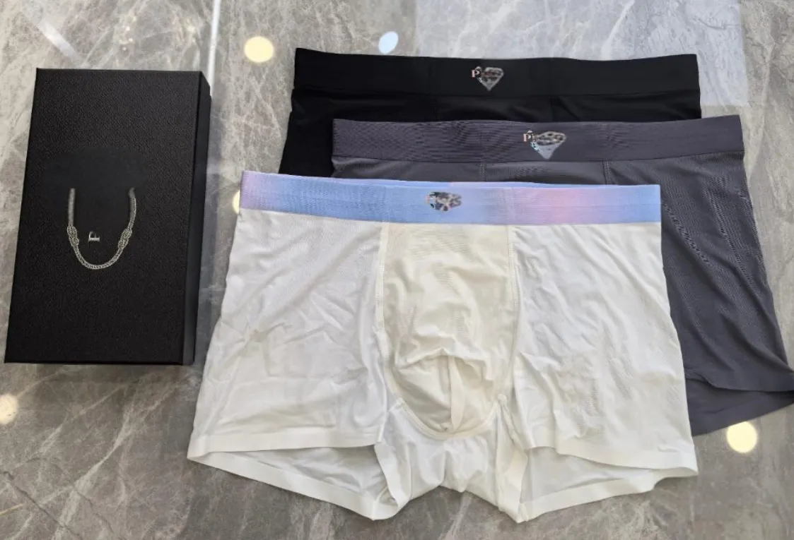 2025 Shorts Designer Boxers Briefs For Men Breathable... From Apple 898 ...