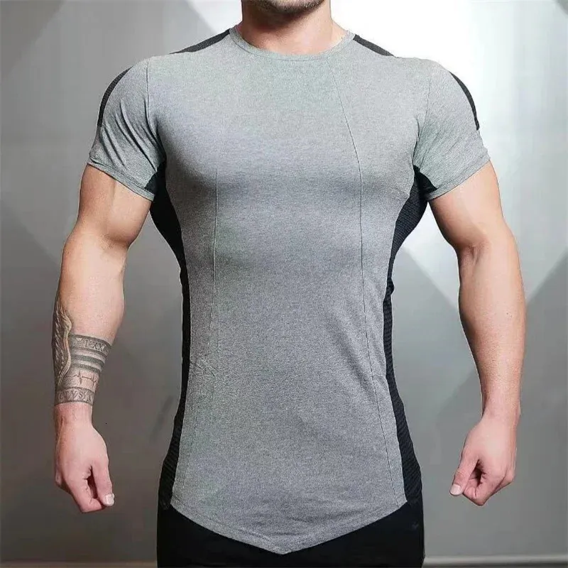 Wholesale Quick Dry Men's Muscle Fitness Muscle Fit T Shirts For Summer ...