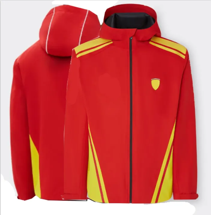 F1 Racing Hoodie: Team Logo Style, Customizable Motorsports Fan Apparel ...