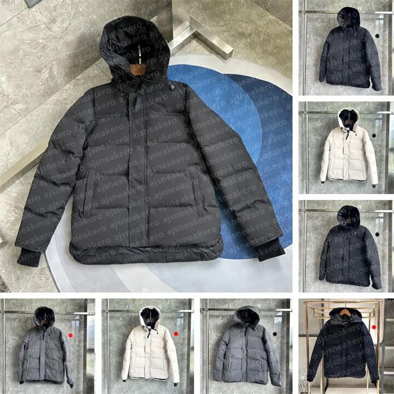 Men's Designer Winter Coat: Down Jacket Veste Homme Outdoor Winter ...