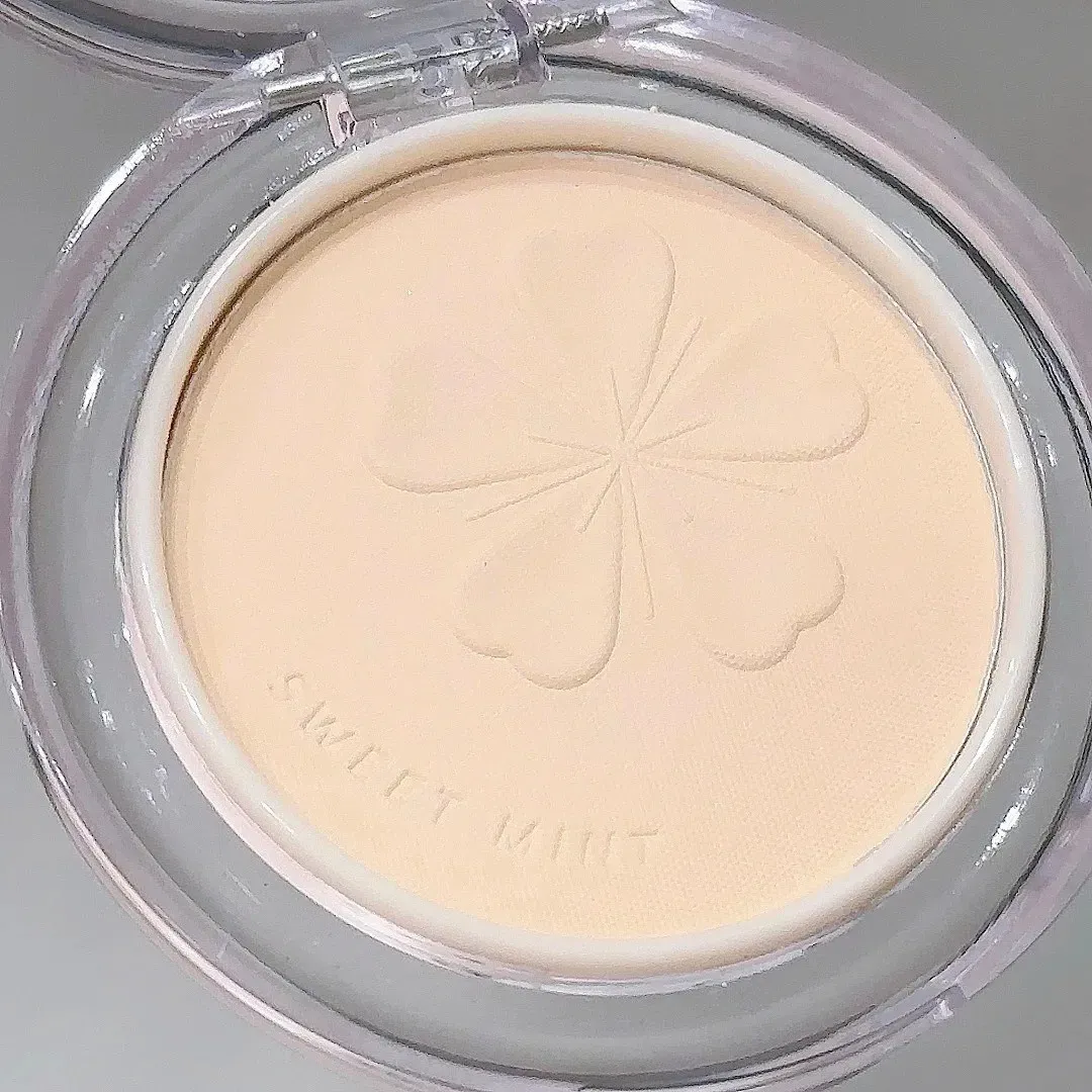 Matte Oil Control Pressed Powder Waterproof Concealer Setting Powder ...